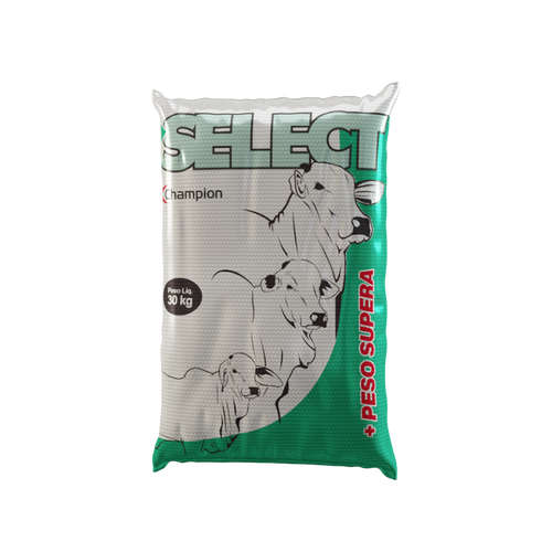 Bovinos – Champion Saúde Animal